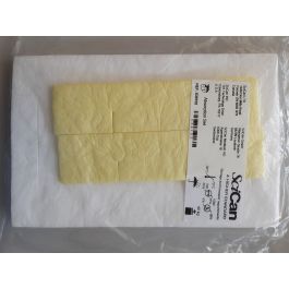 SciCan Statmatic Absorptions-Vlies Set - Lucky Dent AG